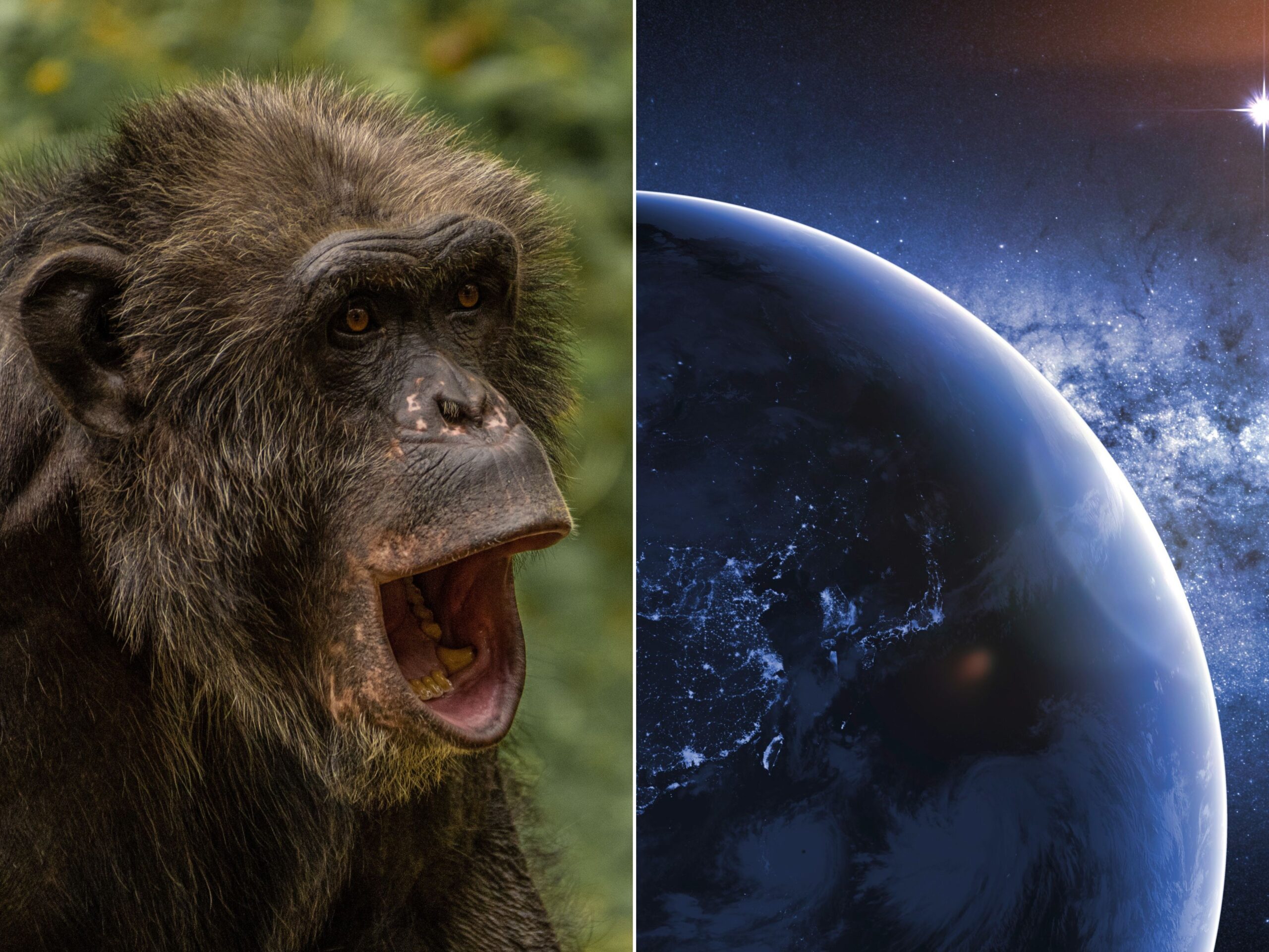 Latest in the Blue Planet saga - Philip J Milton & Company Plc